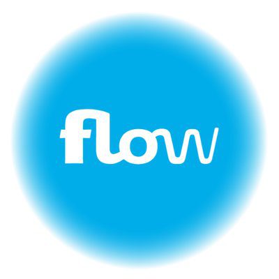 Flow logo