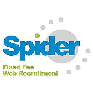 Company Logo (Spider Web Recruitment)